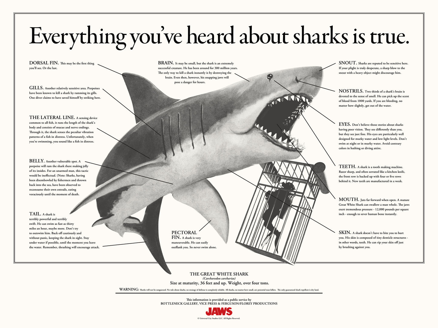 Jaws Infographic – Vice Press